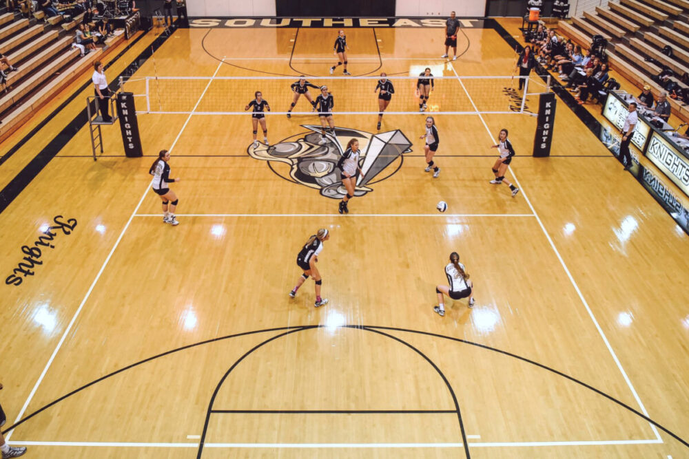 What's New What's Next