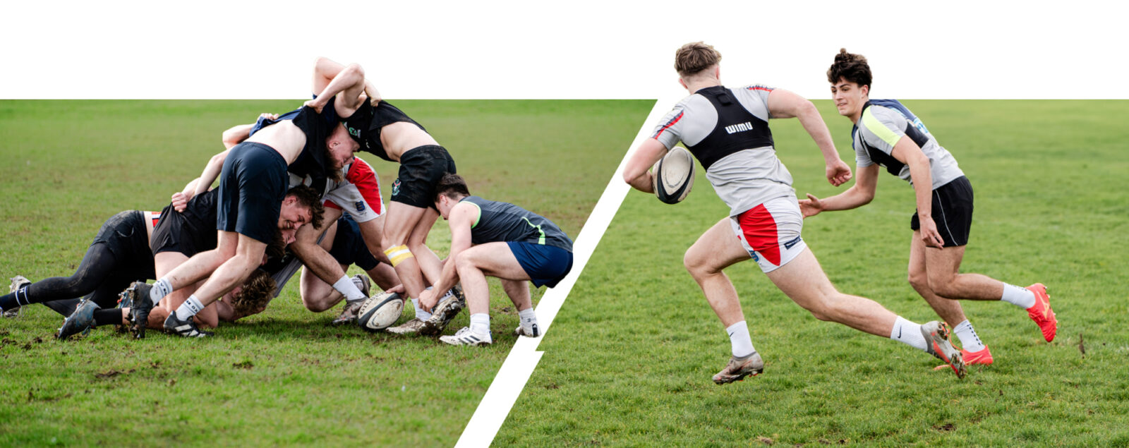 How Hartpury University and College are Leveraging WIMU across Multiple ...