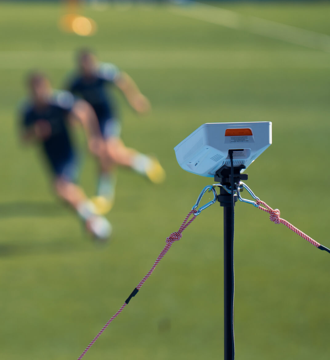 What's New What's Next