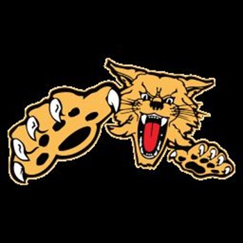 Girls Varsity Basketball - Chinle High School - Chinle, Arizona ...