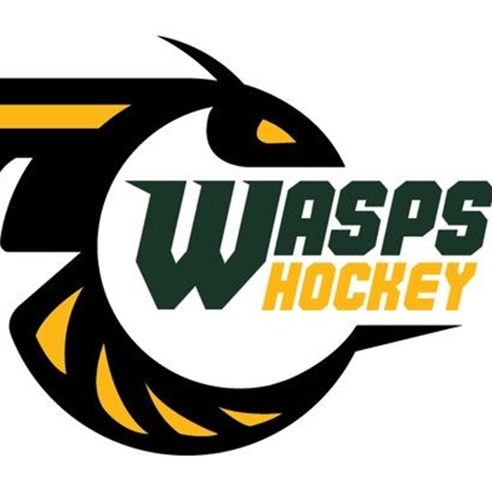 WASPS Womens Top Squad | Sports | Home | Hudl