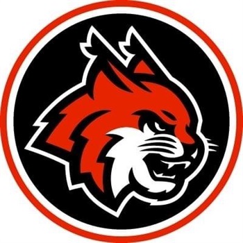 Liga Mayor Linces México - Universidad del Valle de Mexico (UVM ...