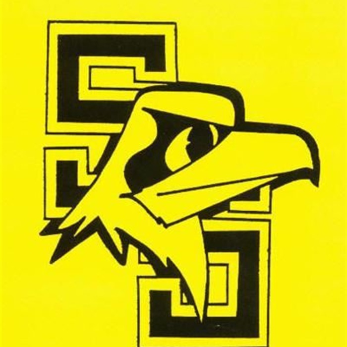 FALCON FOOTBALL | High School Sports | Home | Hudl