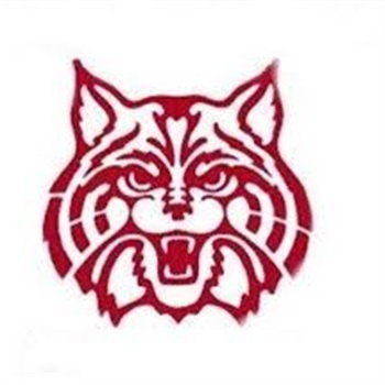 Mayer Wildcats Girls Basketball - Mayer High School - Mayer, Arizona ...