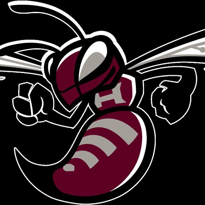 Hudson Lady Hornets | High School Sports | Home | Hudl