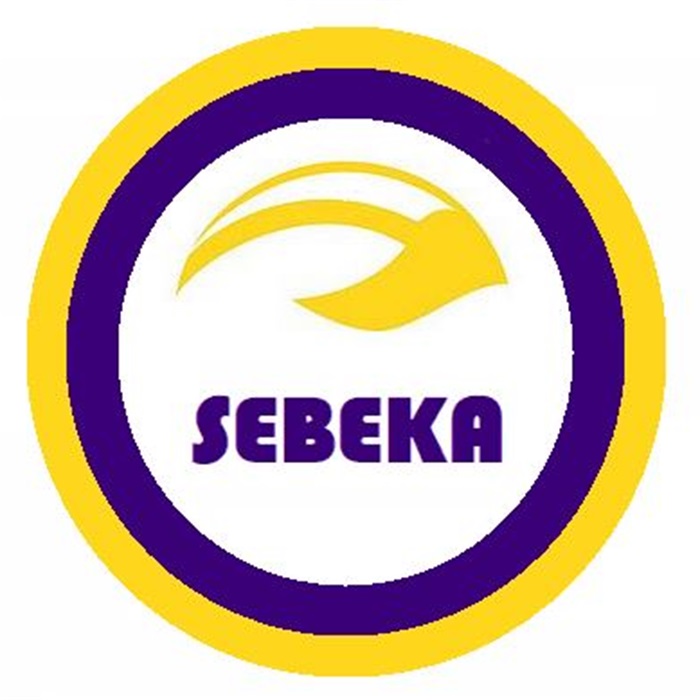 Sebeka Varsity Football | High School Sports | Home | Hudl