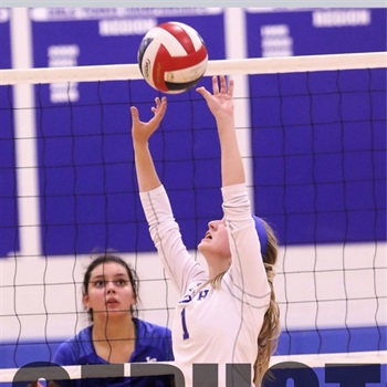 Taylor Mcgaugh - Hudl