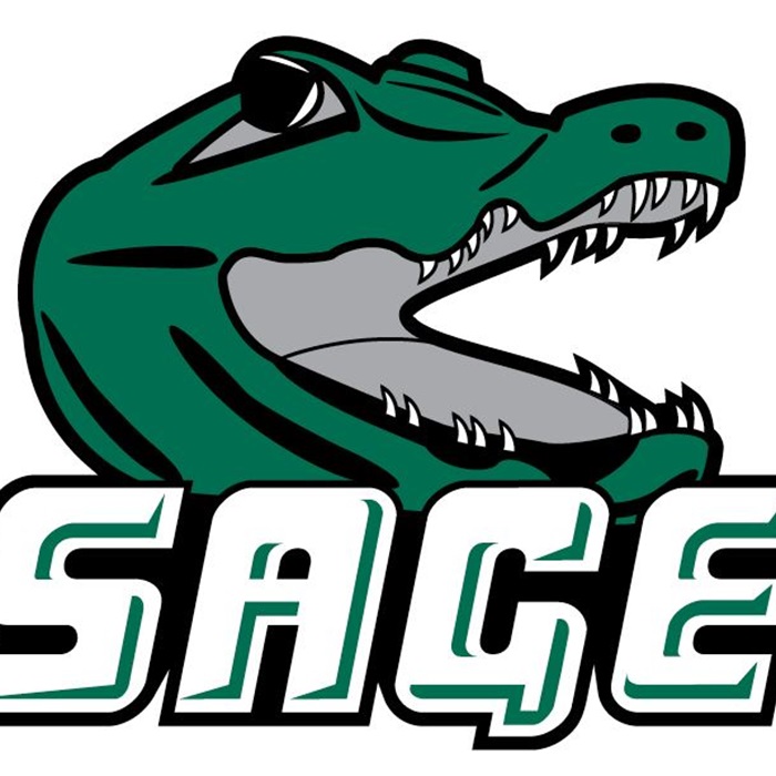 Russell Sage College Women's Basketball | College Sports | Home | Hudl