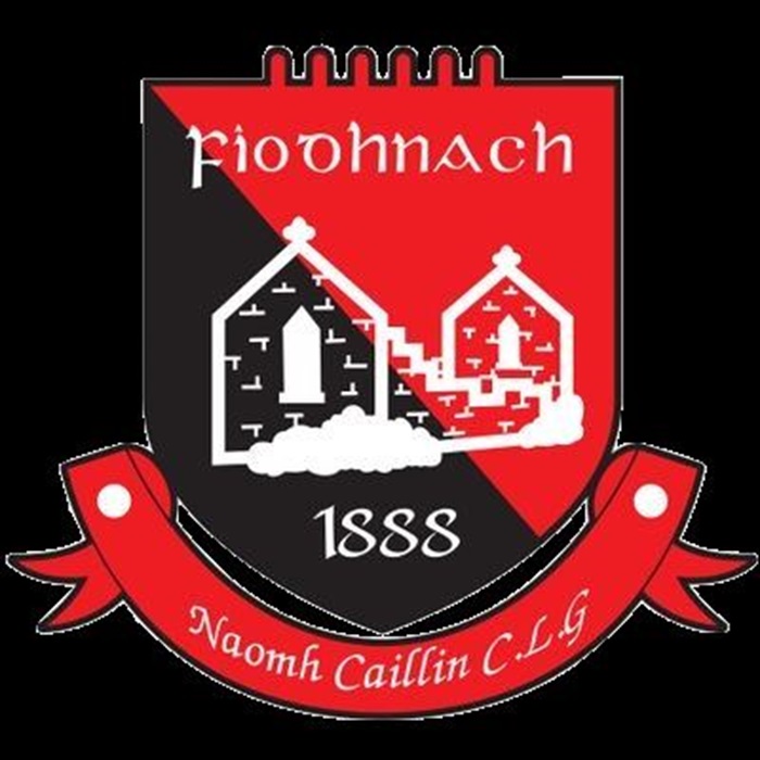 Fenagh St. Caillins GAA Club | Sports | Home | Hudl