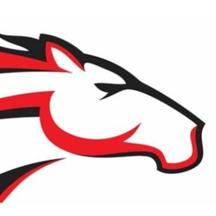 Crestwood Mustangs | High School Sports | Home | Hudl