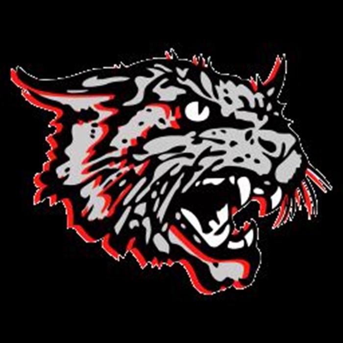 Lady Bobcats Basketball | High School Sports | Home | Hudl