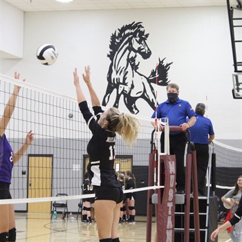 Natalie Faris - Hudl
