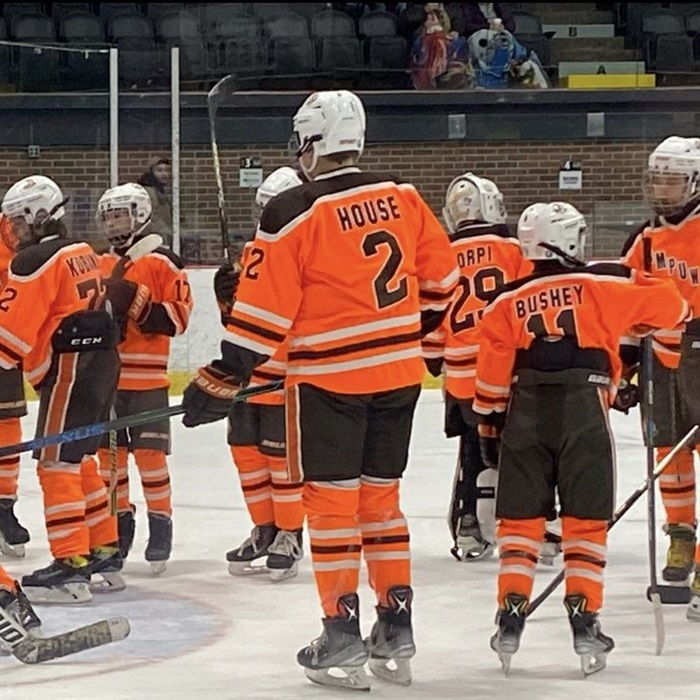 Compuware Hockey