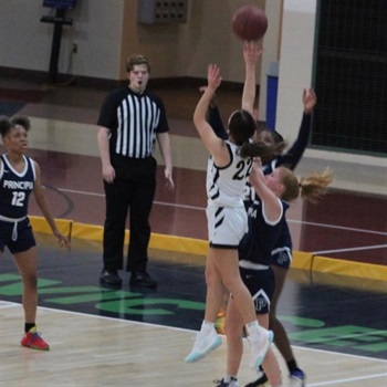 Brynn Johnson - Hudl