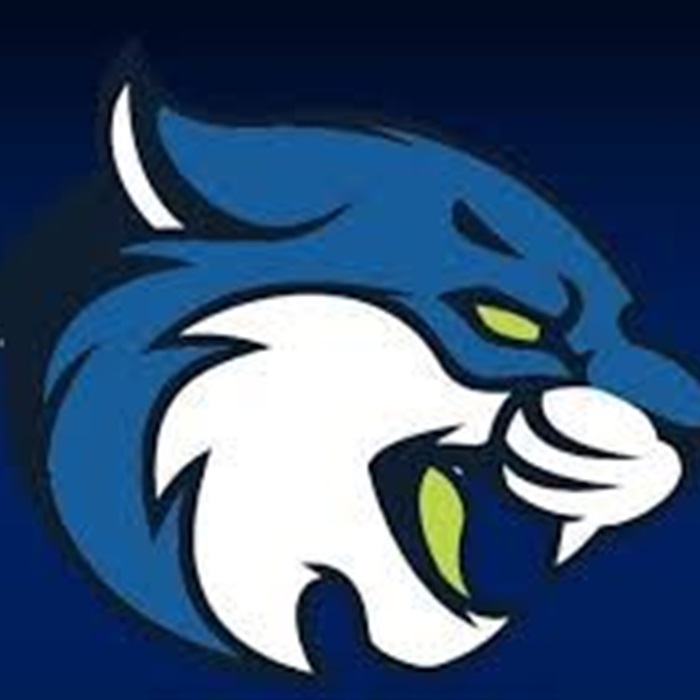 Bryant & Stratton - Albany Women's Basketball | College Sports | Home ...