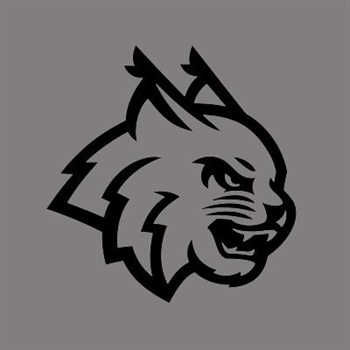 Universidad Del Valle De Mexico