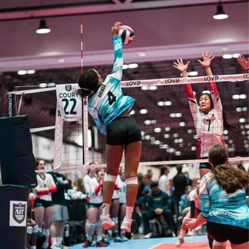 Brianna Brewer - Hudl