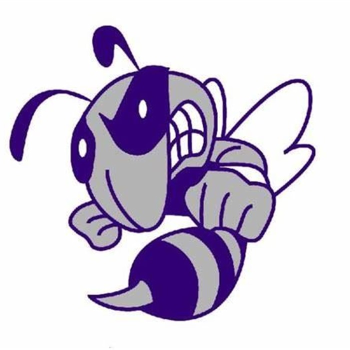 Savannah High School JV Football | High School Sports | Home | Hudl