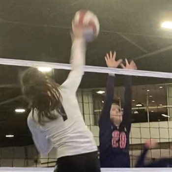 Hailey Mueller - Hudl