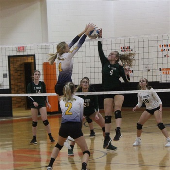 Ryleigh Nelson - Hudl