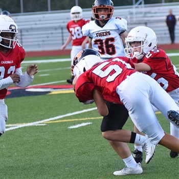 Nicholas Mussolini Jr - Hudl