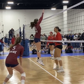 Veronica Faber - Hudl