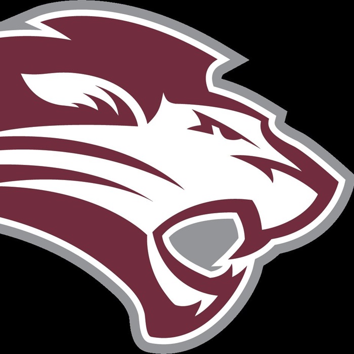 Freed-Hardeman University Men's Soccer | College Sports | Home | Hudl