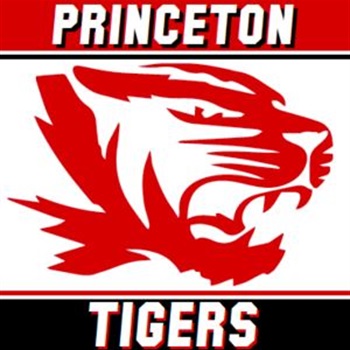 Boys Varsity Football - Princeton Community High School - Princeton ...