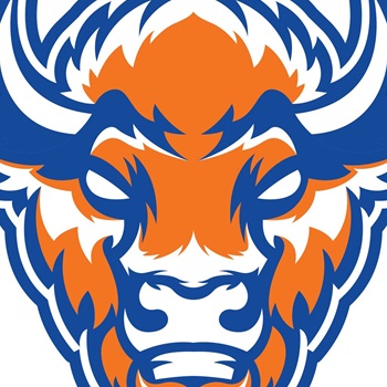 Boys Varsity Football - Fenton High School - Bensenville, Illinois ...