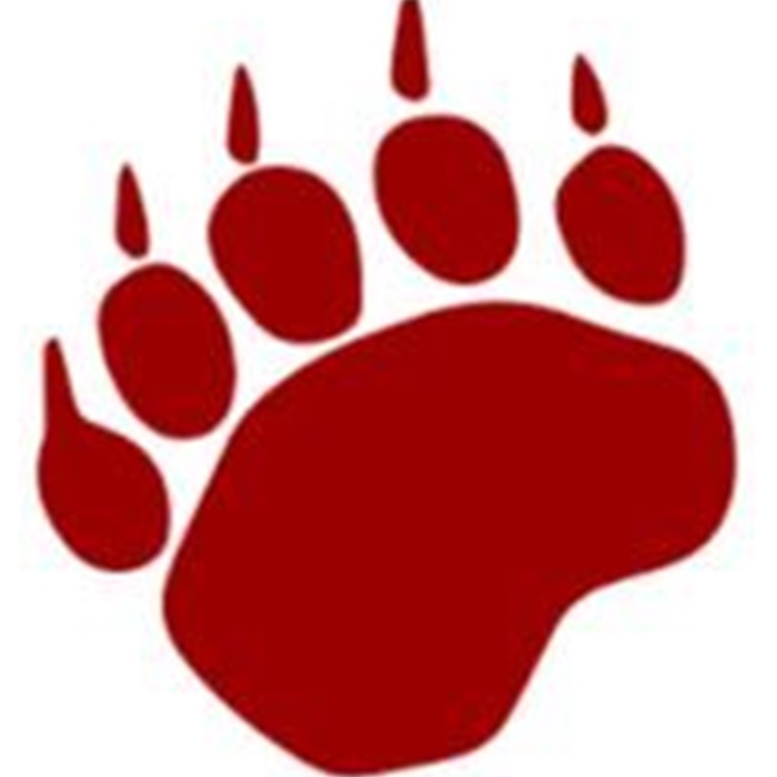 Womens Varsity Volleyball | High School Sports | Home | Hudl