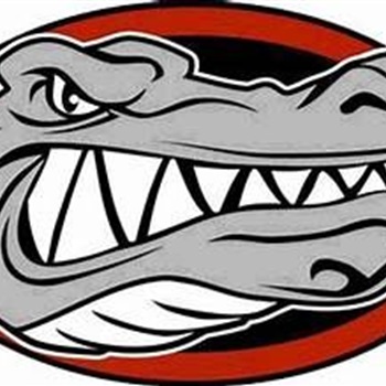 Ashton Goodwin - Hudl