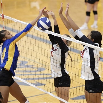 sydney pruitt - Hudl