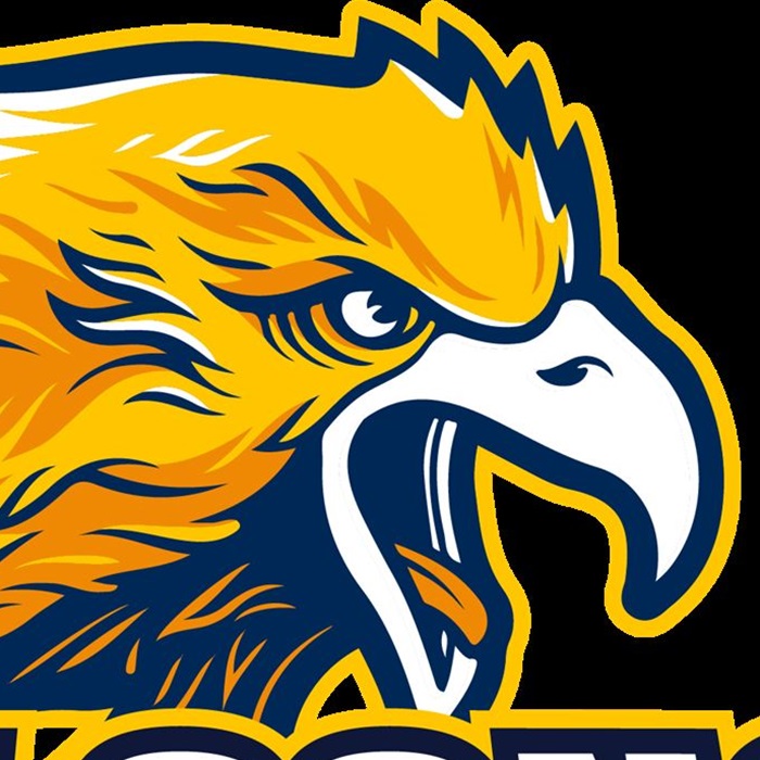 13 Falcons | Club Sports | Home | Hudl