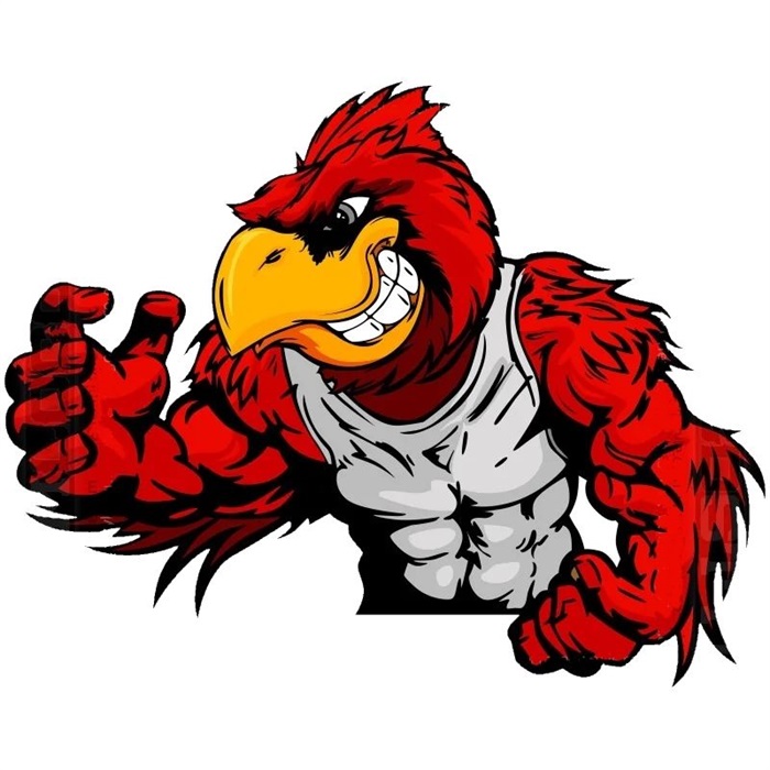 Boy's Wrestling | High School Sports | Home | Hudl