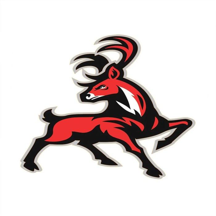 Deer Womens Basketball | High School Sports | Home | Hudl