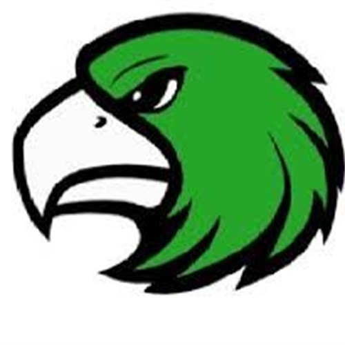 FALCONS | Club Sports | Home | Hudl