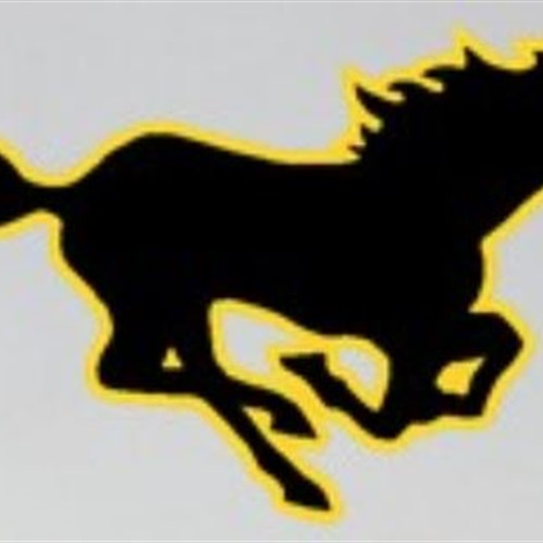 Boys Varsity Football | High School Sports | Home | Hudl