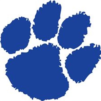 Wildcat Varsity Football - Wheeling High School - Wheeling, Illinois ...