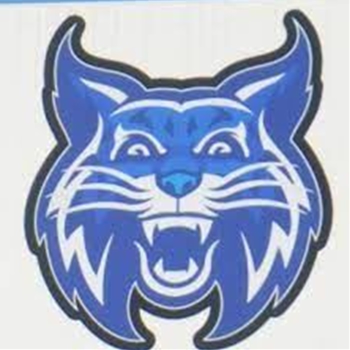 Erath Bobcats WAG | High School Sports | Home | Hudl