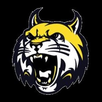 Springfield School District Logo