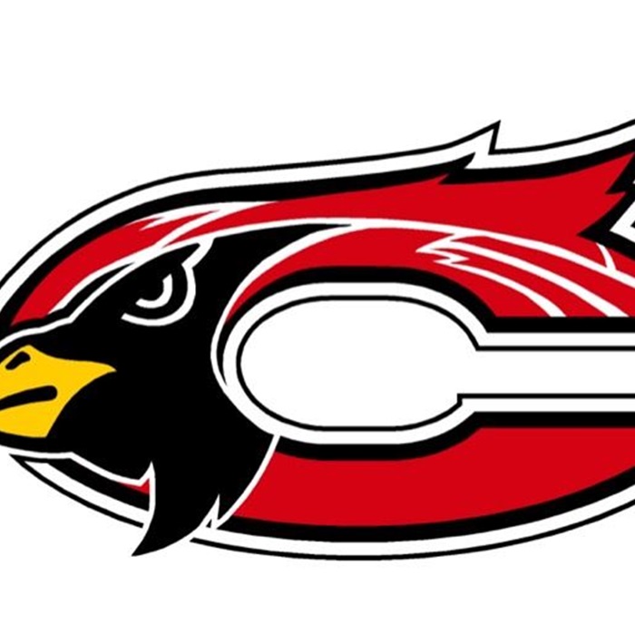 Cardinal Boys' Basketball 2020-2021 | High School Sports | Home | Hudl