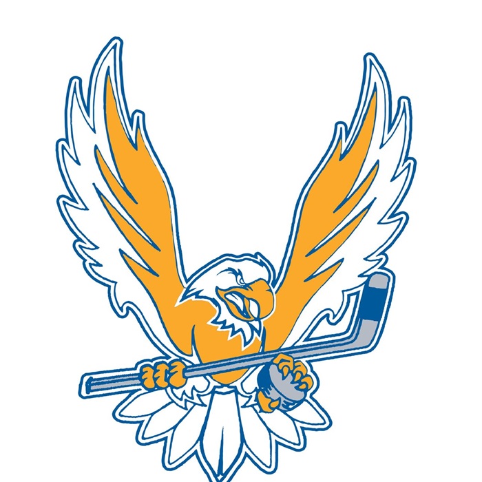 Cortland Homer Golden Eagles Ice Hockey | High School Sports | Home | Hudl