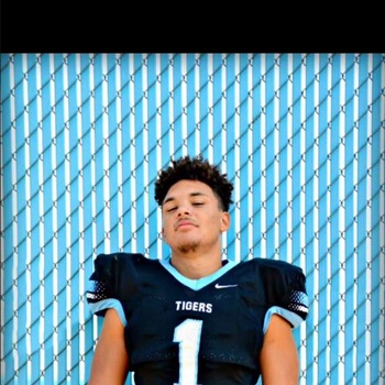 Austin D'Angelo - Hudl