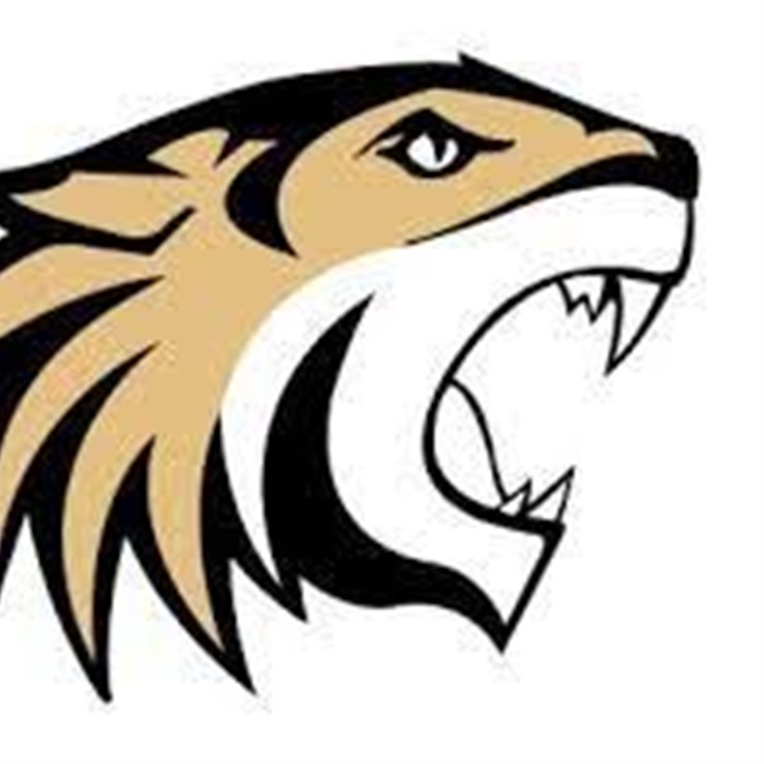 Tokay High School | High School Sports | Teams | Hudl