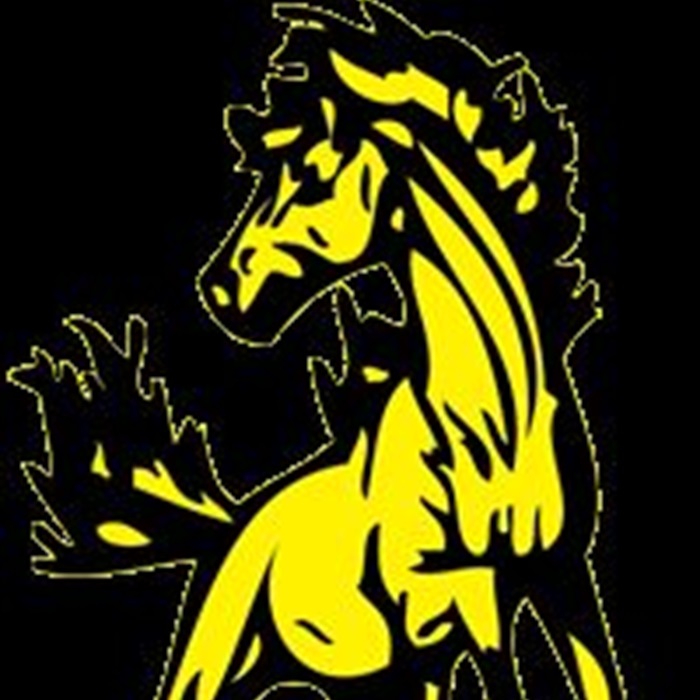 Lady Mustangs | High School Sports | Home | Hudl
