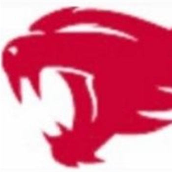 Boys Varsity Basketball - Bath County High School - Owingsville ...