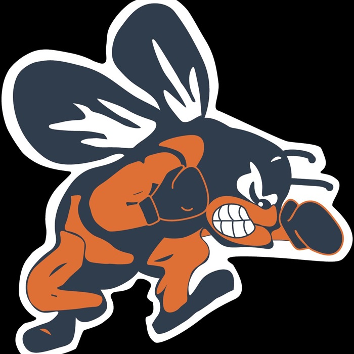 BRIDGMAN BEES | High School Sports | Home | Hudl