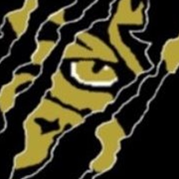 Mclean High School Logo