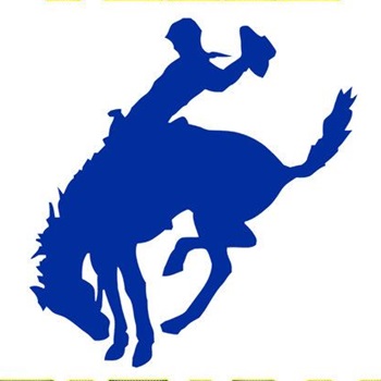 Buckaroos - Freer High School - Freer, Texas - Football - Hudl