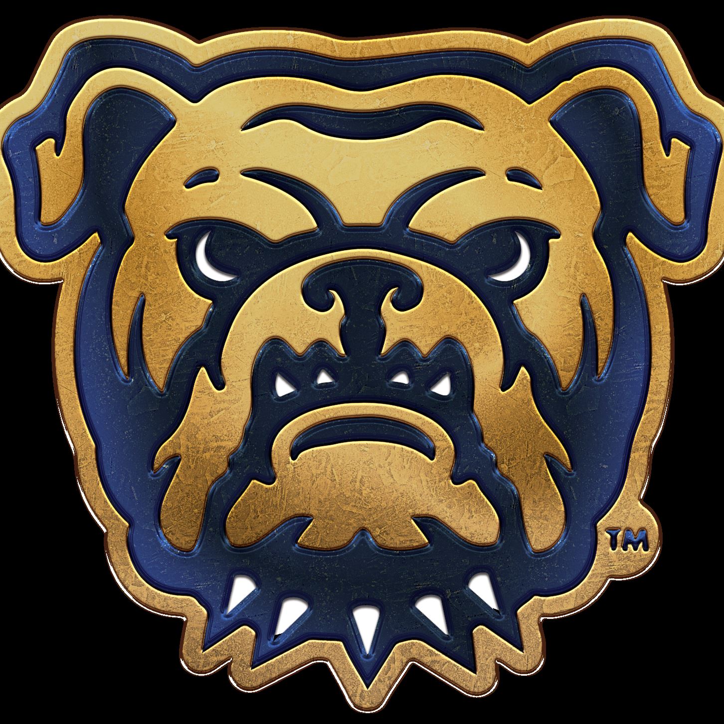 Alexander High School | High School Sports | Home | Hudl